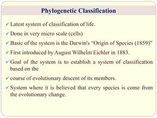 CLASSIFICATION SYSTEMS IN PLANTS | PPTX