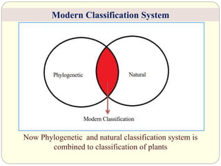 CLASSIFICATION SYSTEMS IN PLANTS | PPTX