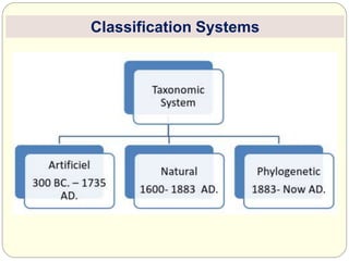 CLASSIFICATION SYSTEMS IN PLANTS | PPTX