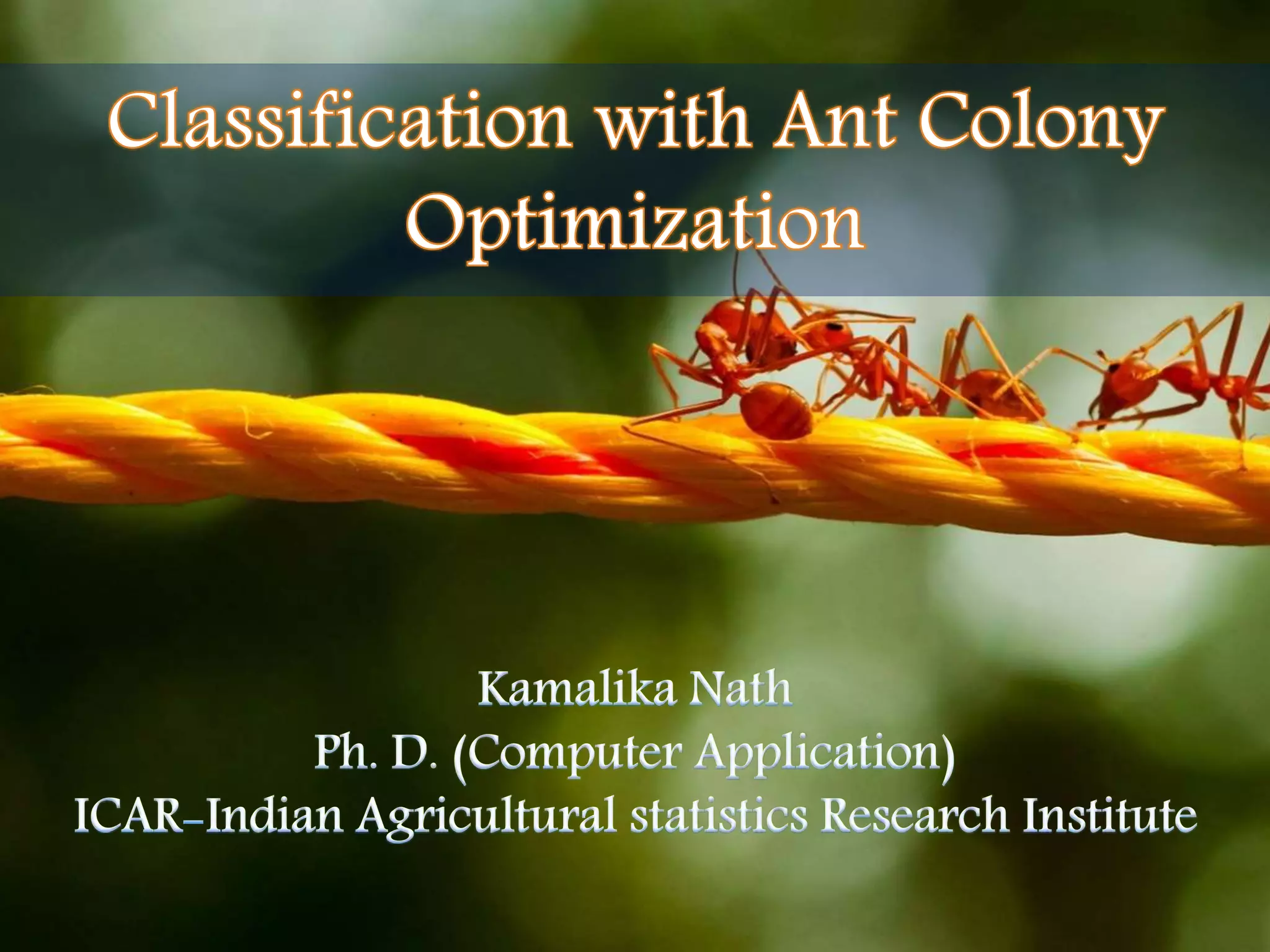 Classification with ant colony optimization | PPTX