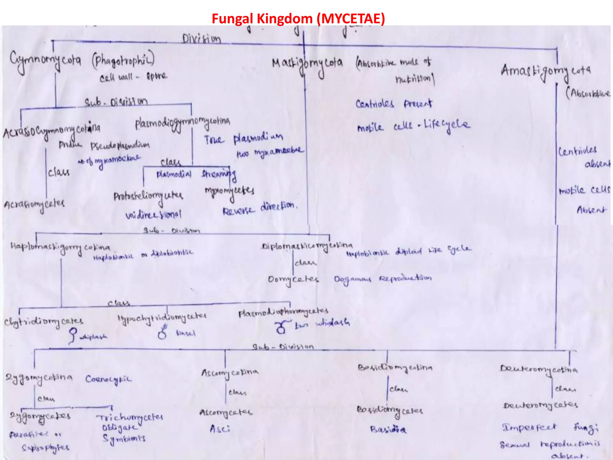 Classificatio of fungi alexopoulos and mims new | PPTX