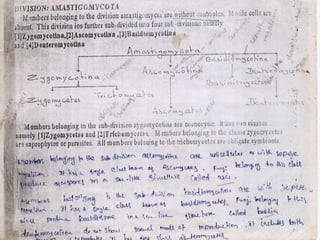 Classificatio of fungi alexopoulos and mims new | PPTX