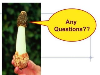 Classificatio of fungi alexopoulos and mims new | PPTX