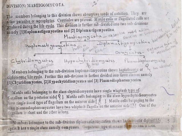 Classificatio of fungi alexopoulos and mims new | PPTX