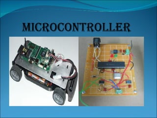 Classificaton Slide Show | PPT | Computing | Technology & Computing