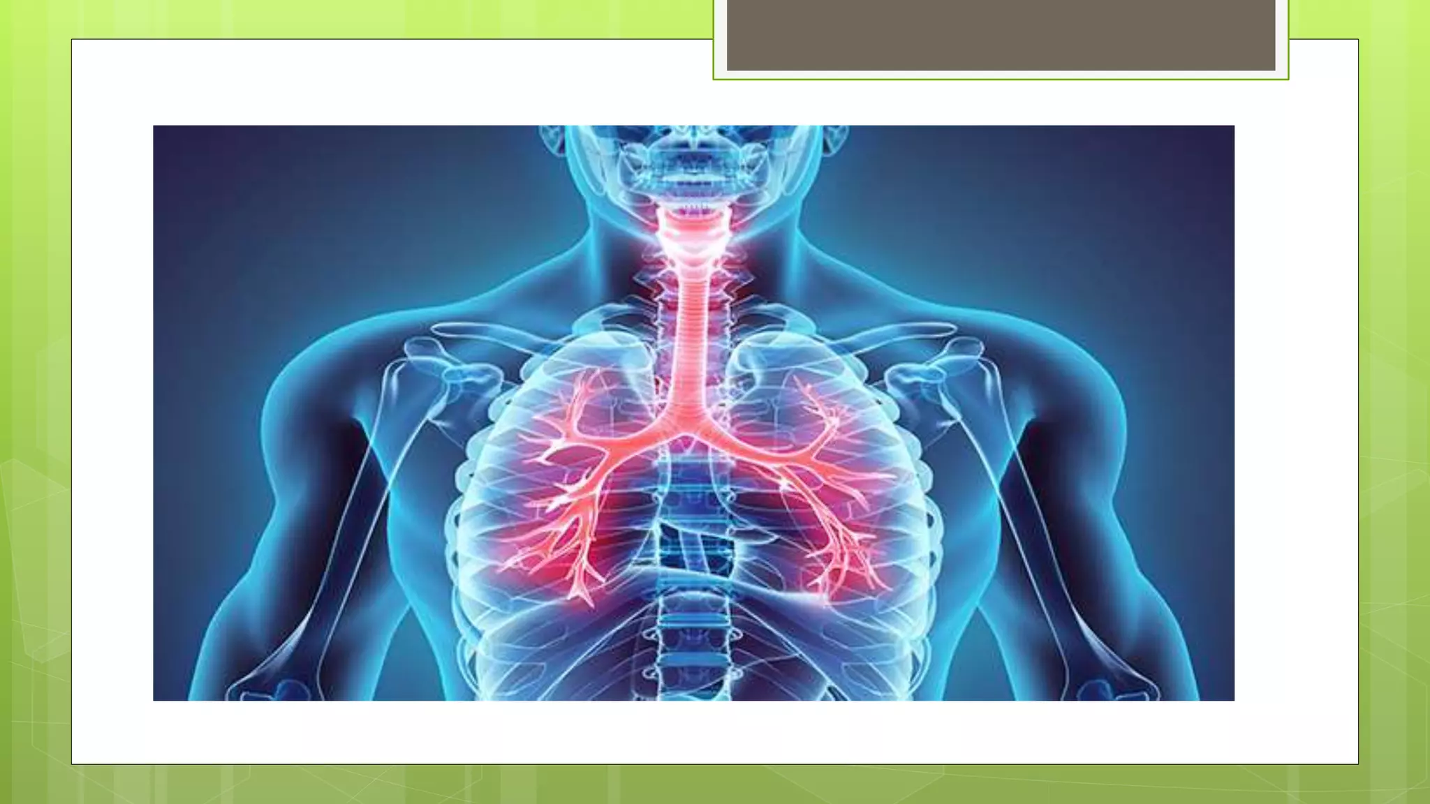 classification of drug | PPTX