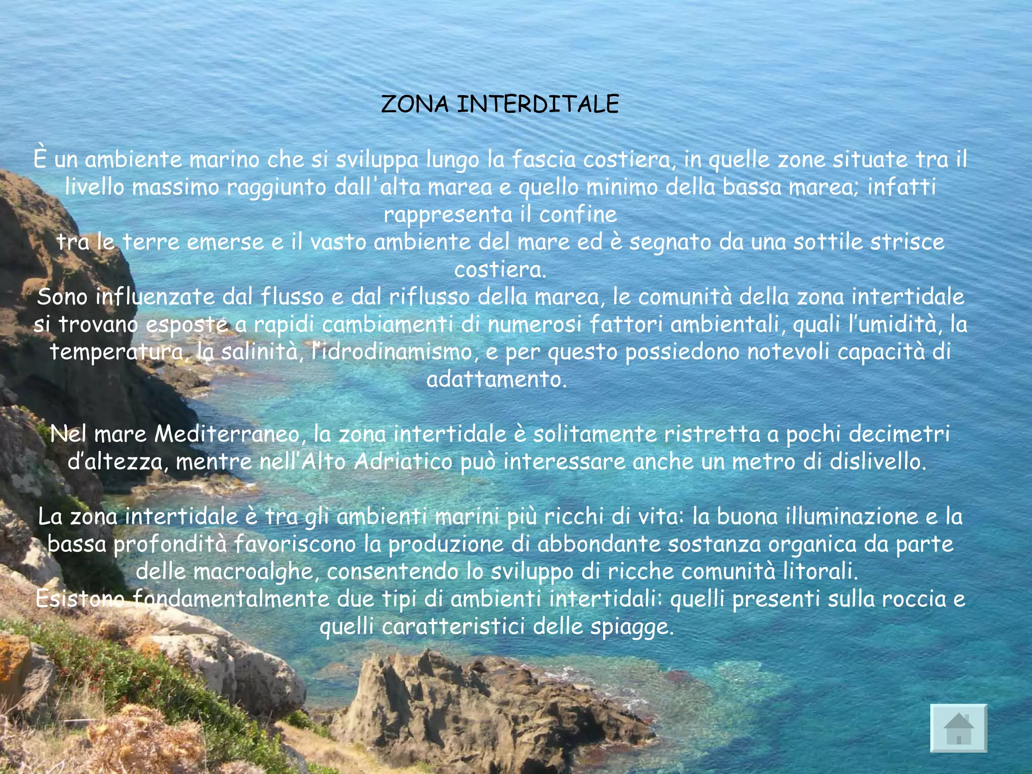 La Classificazione Delle Acque | PPT