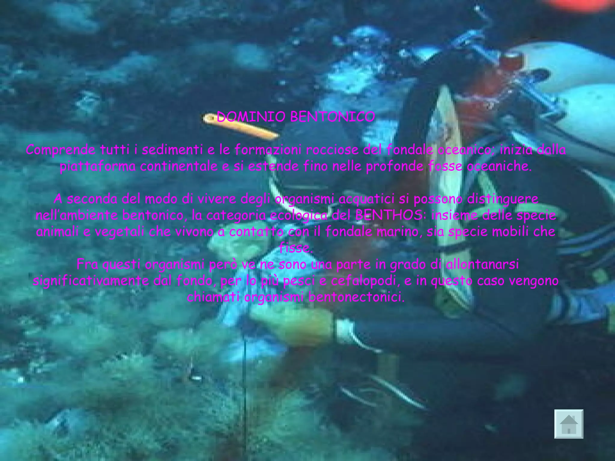 La Classificazione Delle Acque | PPT