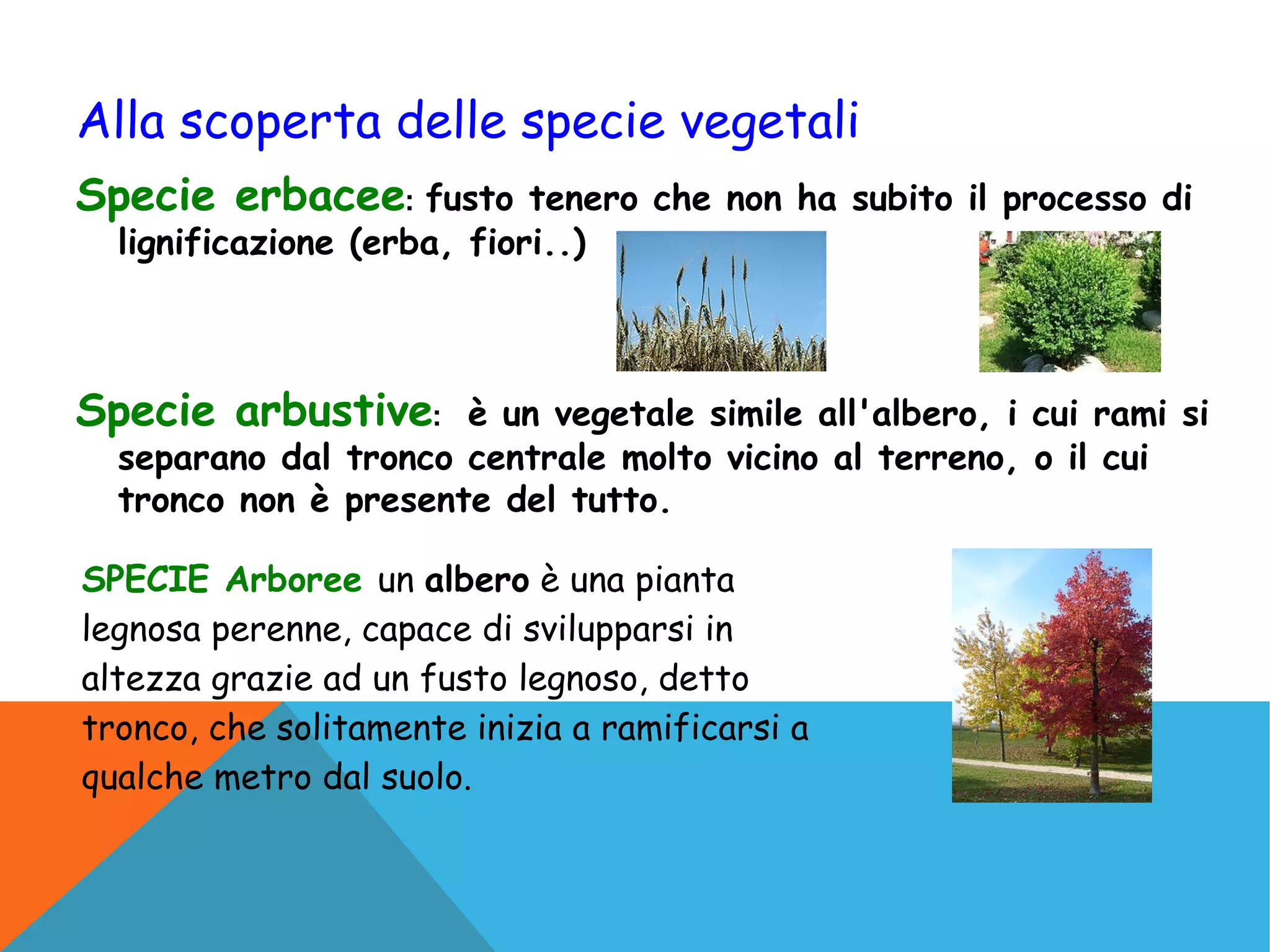 Classificazione 1 | PPT