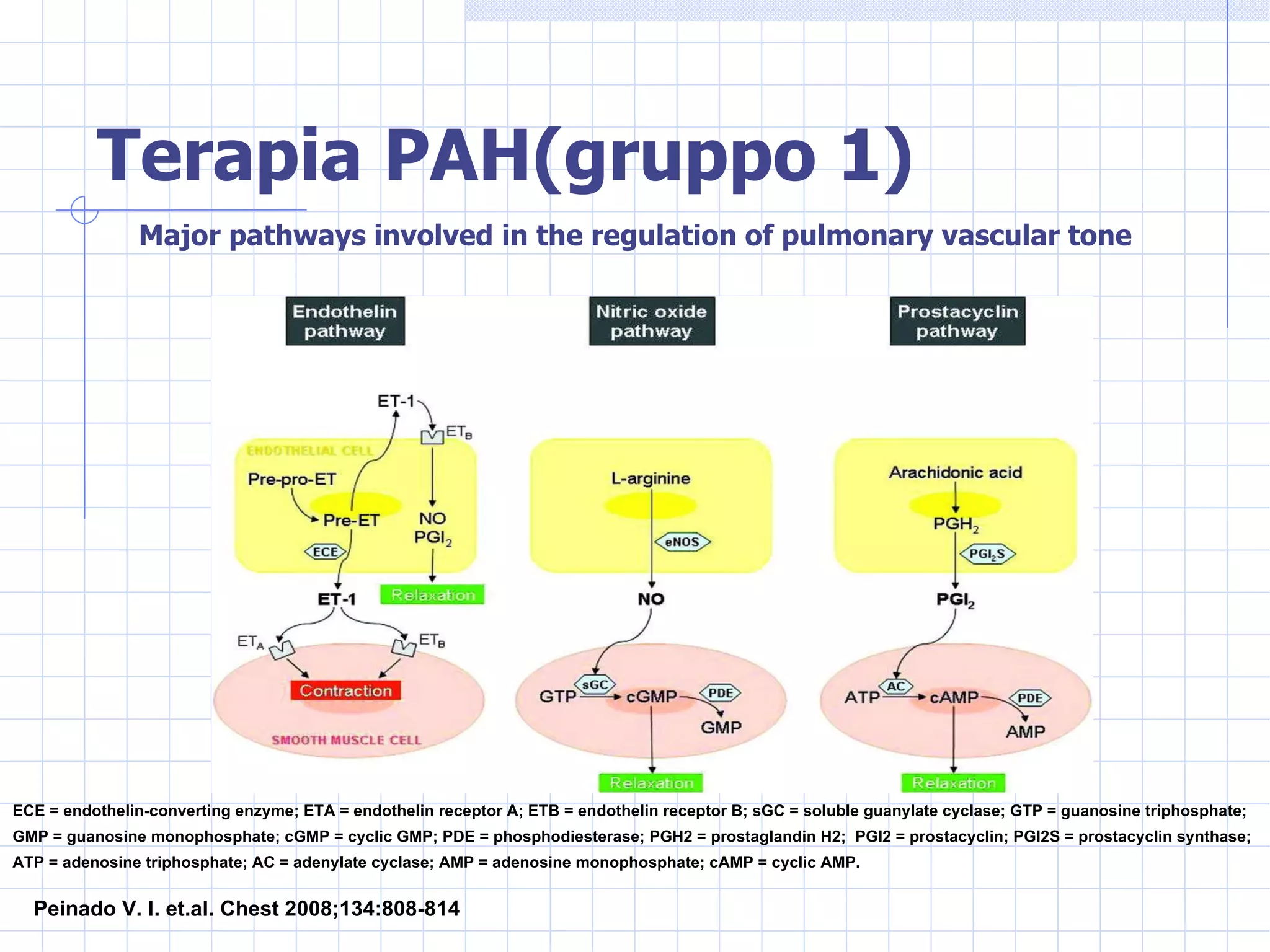 Ipertensione polmonare: classificazione, fisiopatologia, diagnosi ...