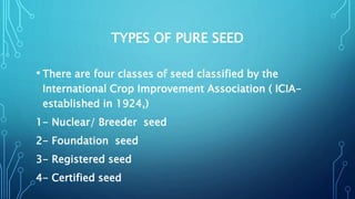 Classes of Seeds / Classification of Seeds / Category of Seeds | PPTX ...