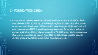 Classes of Seeds / Classification of Seeds / Category of Seeds | PPTX ...