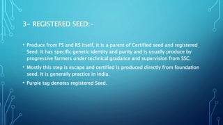Classes of Seeds / Classification of Seeds / Category of Seeds | PPTX