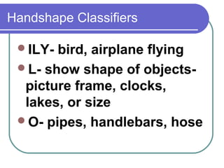 Classifiers | PPT