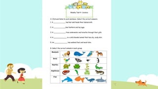 Classifiying Animals for elementary student grade 3.pptx