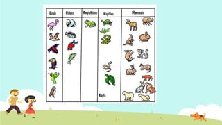 Classifiying Animals for elementary student grade 3.pptx