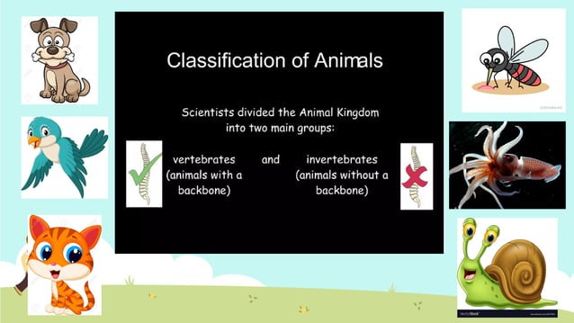 Classifiying Animals for elementary student grade 3.pptx