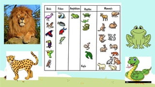 Classifiying Animals for elementary student grade 3.pptx