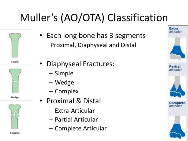 Open Fracture Wound Management Tetanus Frcem Exam Forum