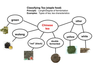 Classify Food | PPTX