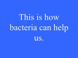 Classify Organisms Jeopardy | PPT