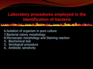 Classify and identifi | PPT