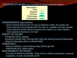 Classify and identifi | PPT