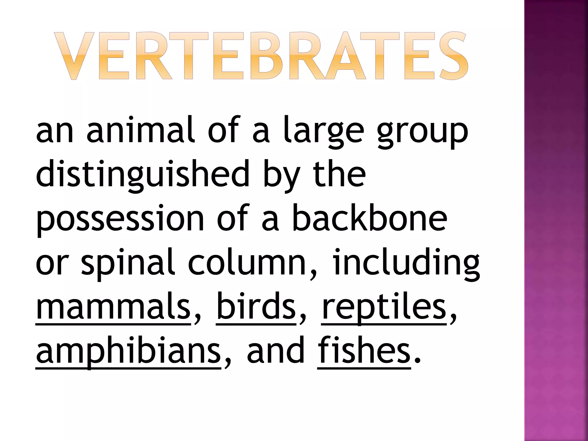 Classify animals into vertebrates and invertebrates | PPTX