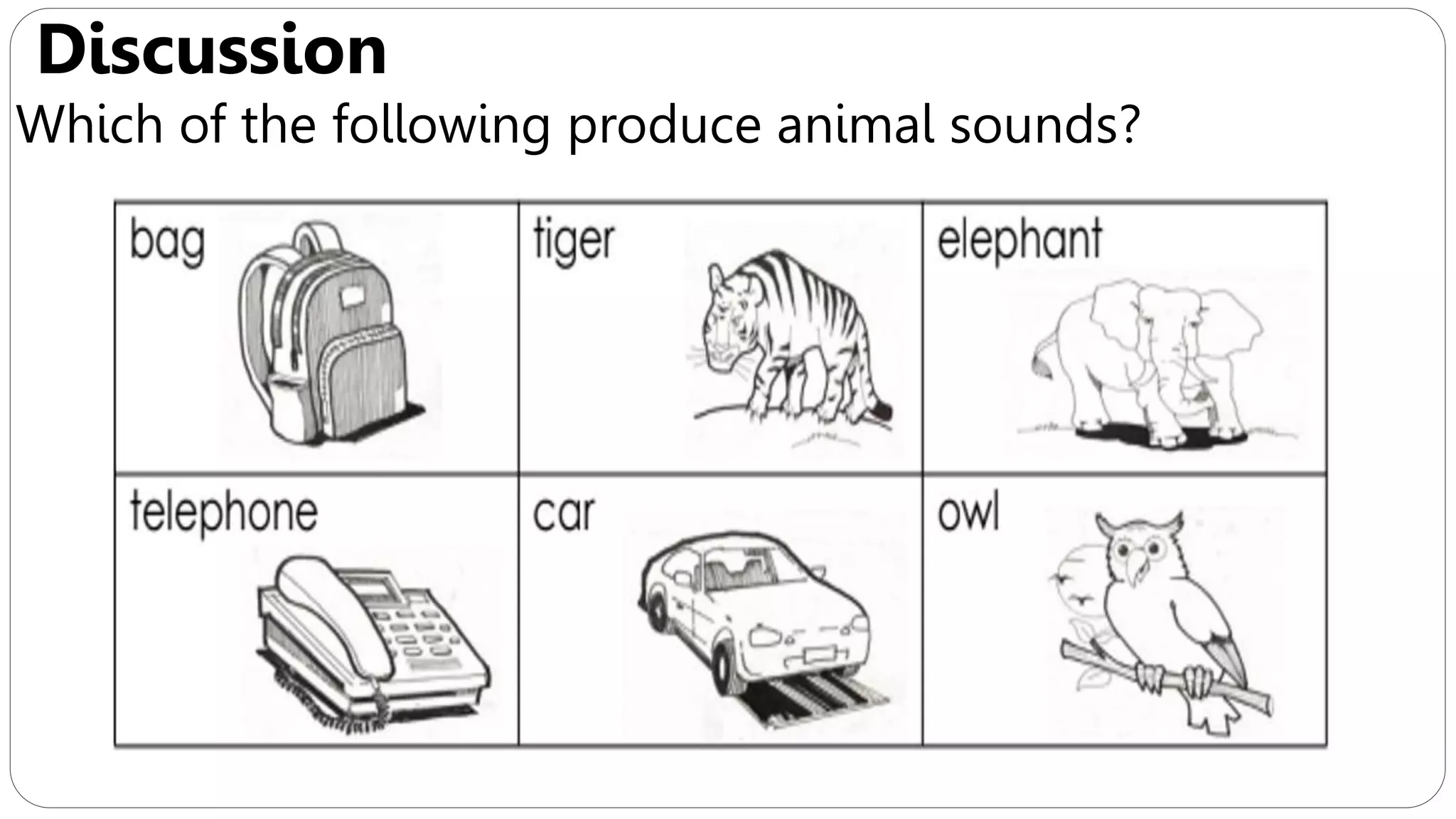 CLASSIFY CATEGORIZE SOUNDS.pptx
