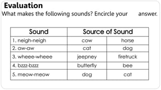CLASSIFY CATEGORIZE SOUNDS.pptx