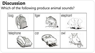 CLASSIFY CATEGORIZE SOUNDS.pptx