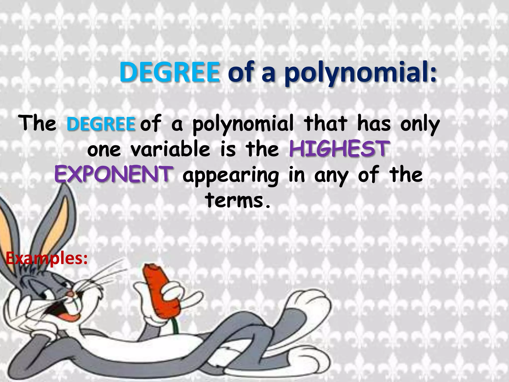 Classifying Polynomials | PPTX