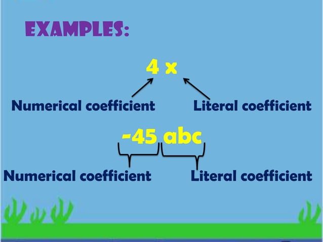 Classifying Polynomials | PPTX | Computing | Technology & Computing