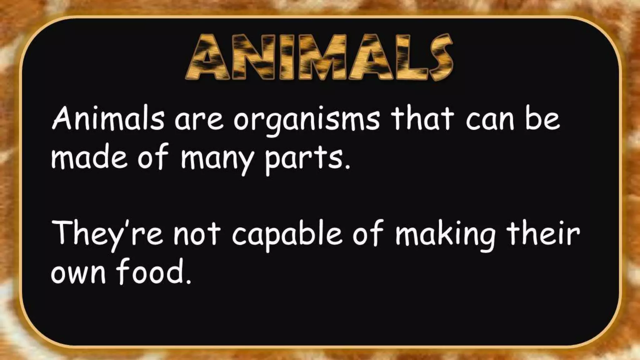 Classifying animal presentation final | PPTX | Biological Sciences ...