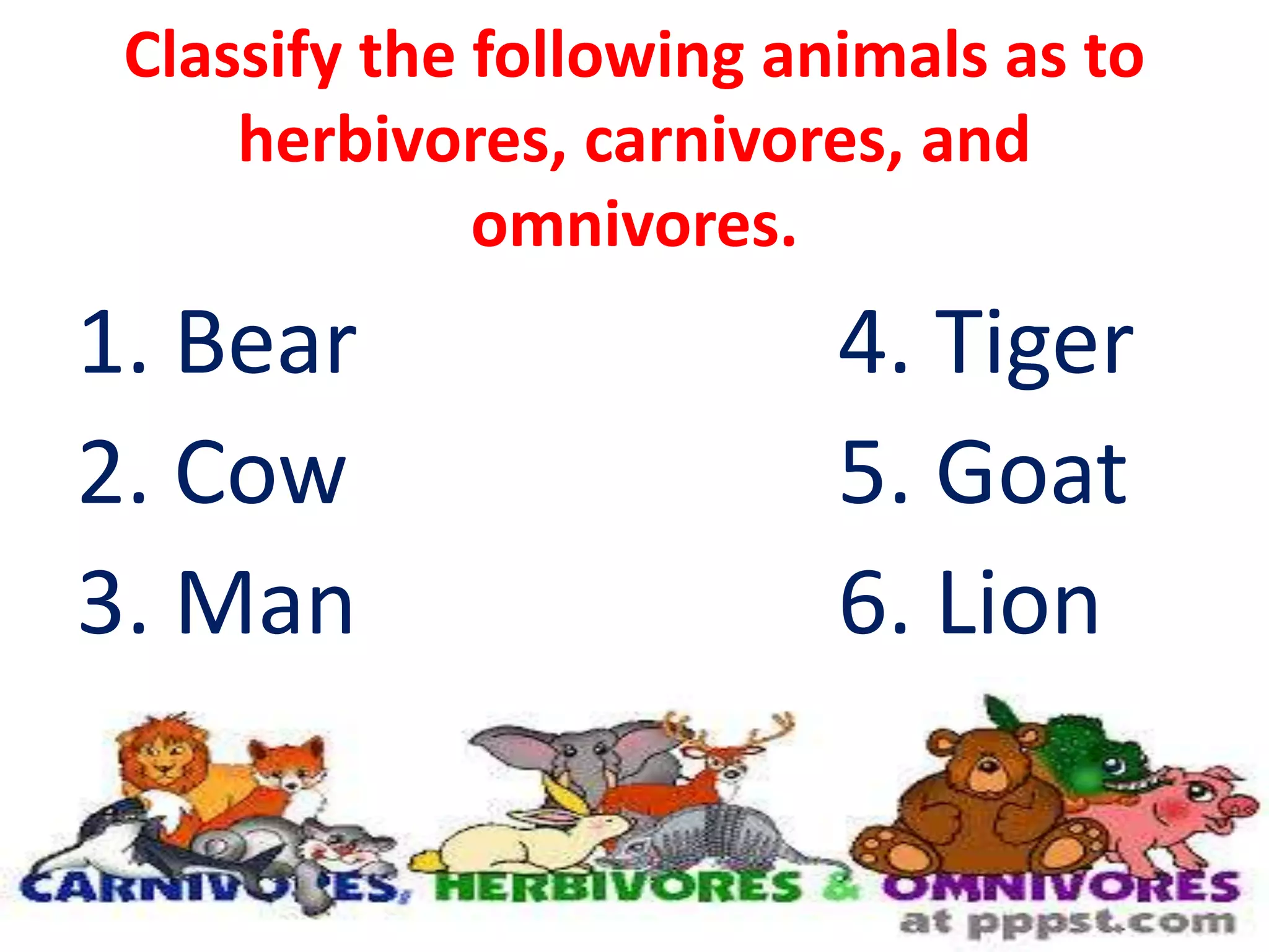 Classifying animals according to the food they eat | PPTX