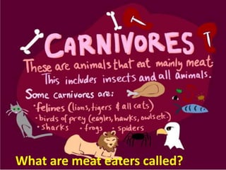 Classifying animals according to the food they eat | PPTX