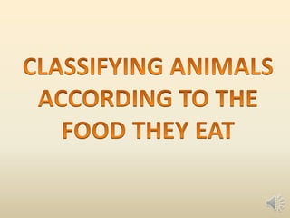 Classifying animals according to the food they eat | PPTX