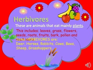 Classifying animals according to the food they eat | PPTX