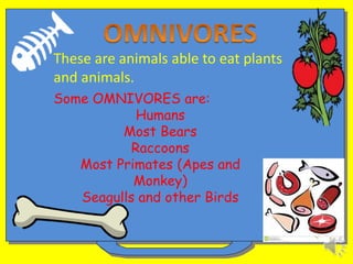 Classifying animals according to the food they eat | PPTX