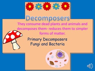 Classifying animals according to the food they eat | PPTX