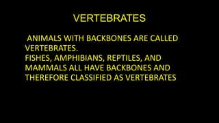 Classifying animals as to the presence of backbone | PPTX