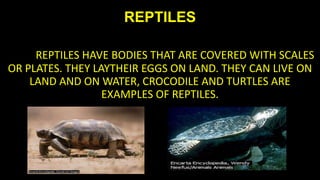 Classifying animals as to the presence of backbone | PPTX