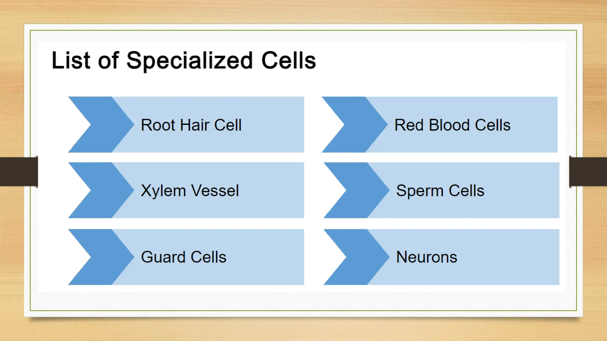 Classifying Different Cell Types (Plant.pptx