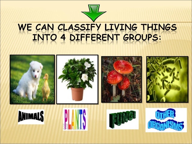 Classifying living things