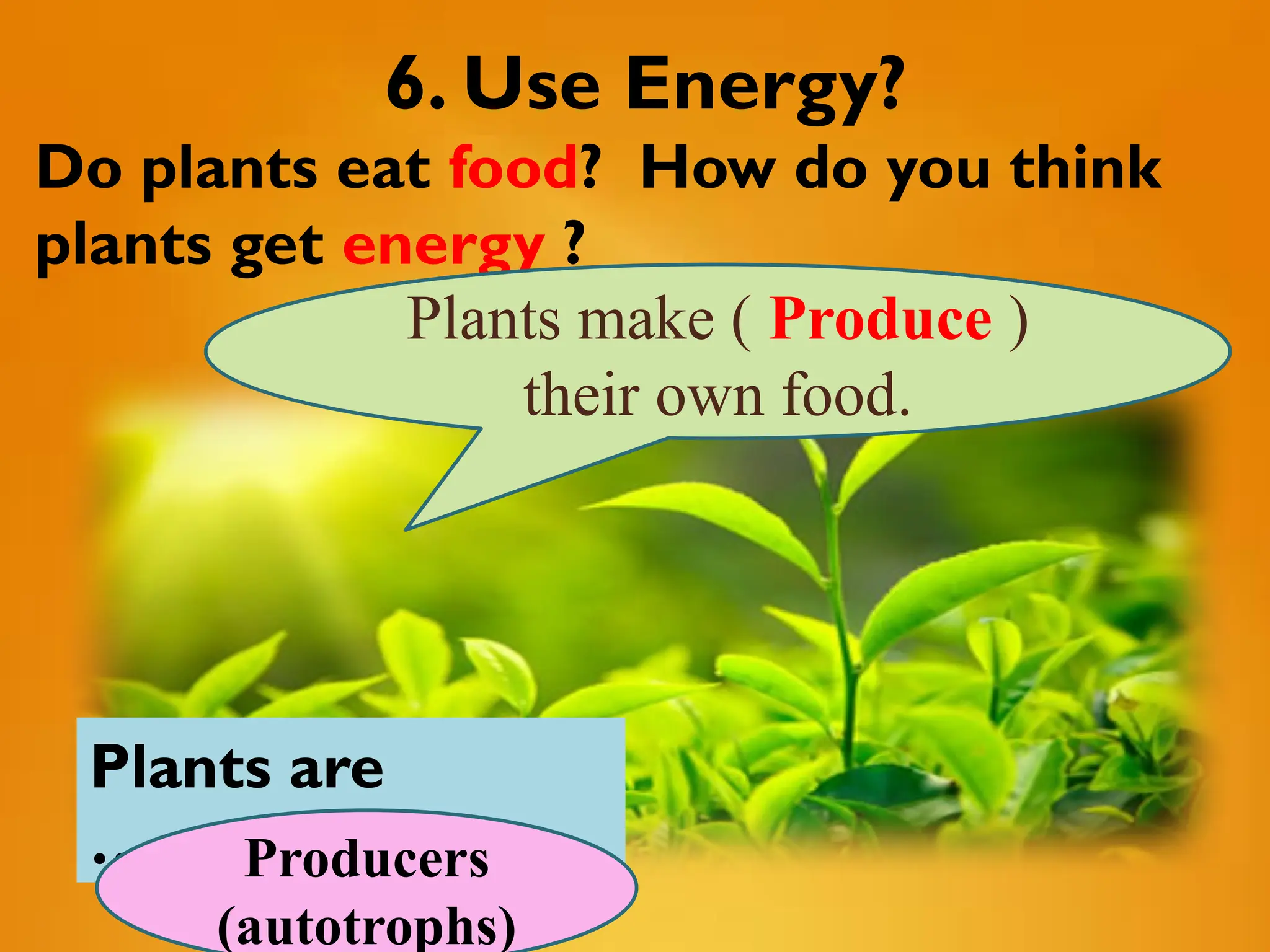 Classifying Living Things.pptx grade 6 science | PPTX