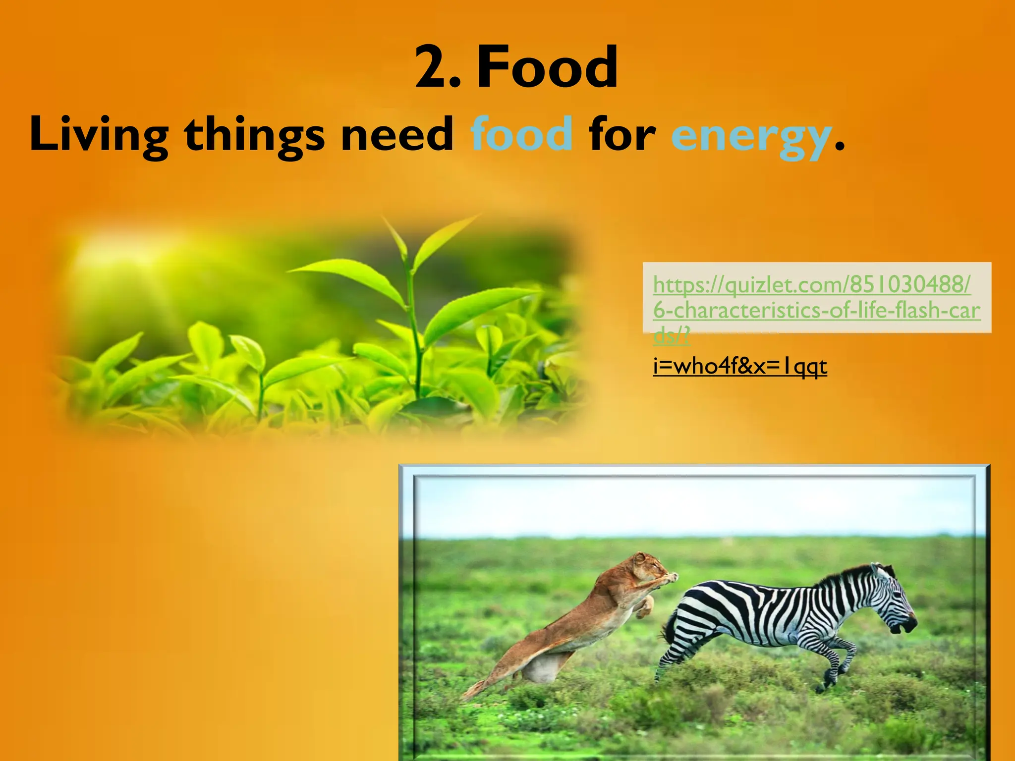 Classifying Living Things.pptx grade 6 science | PPTX