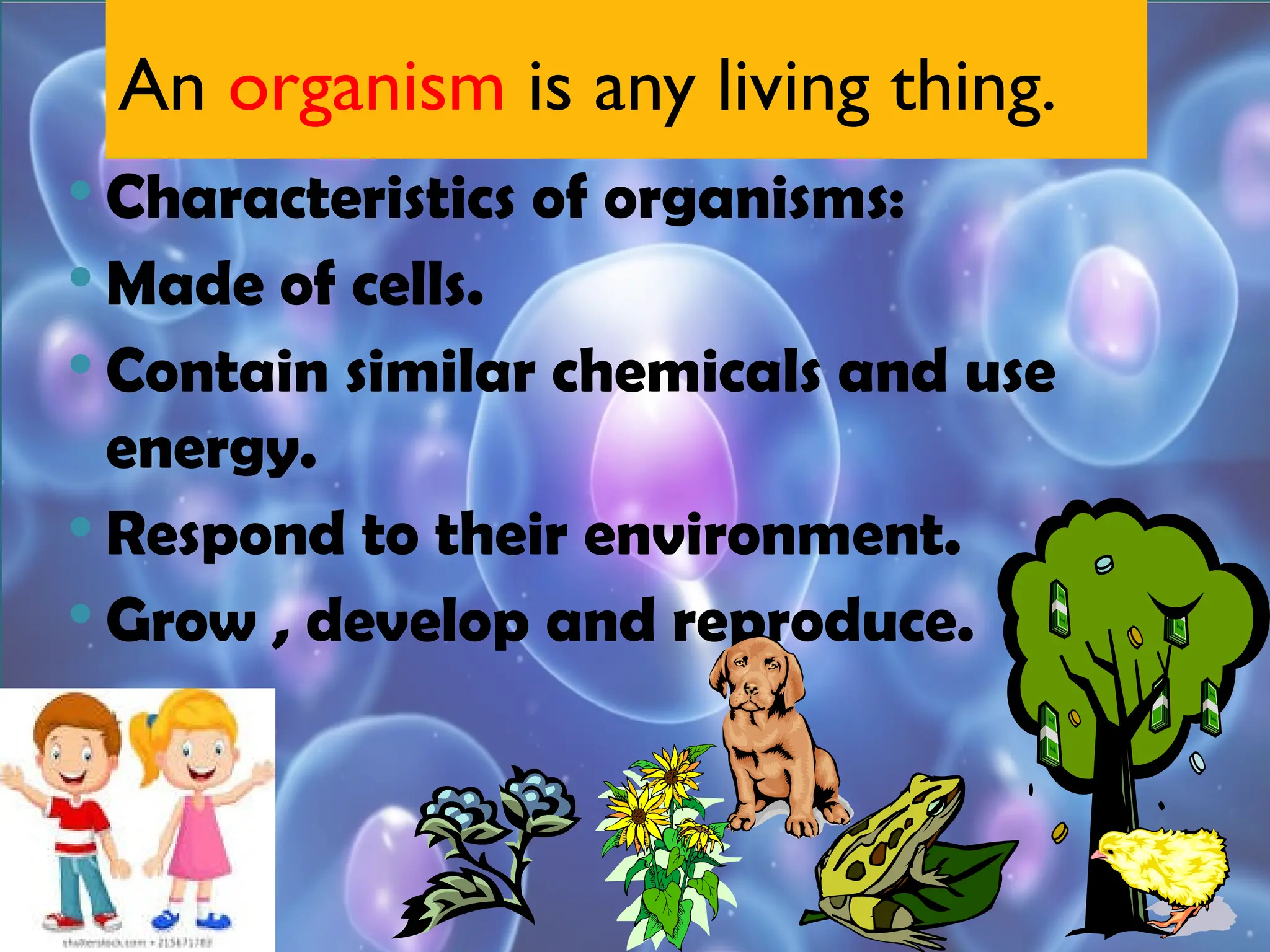 Classifying Living Things.pptx grade 6 science | PPTX