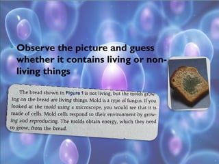 Classifying Living Things.pptx grade 6 science | PPTX