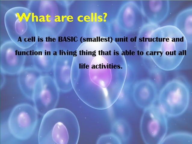 Classifying Living Things.pptx grade 6 science | PPTX | Biological Sciences | Science