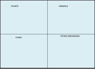 LIVING THINGS CLASSIFICATION UNIT 3 YEAR 3 | PPTX